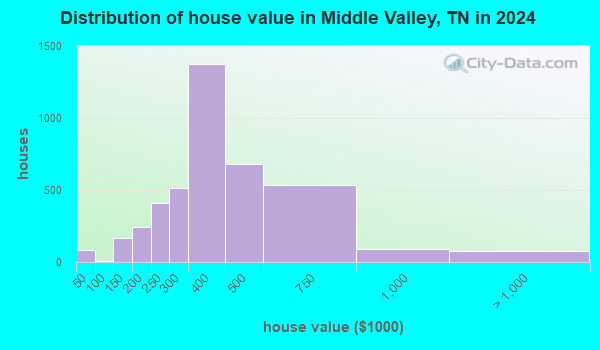 Middle Valley, Tennessee (TN 37343) profile: population, maps, real ...