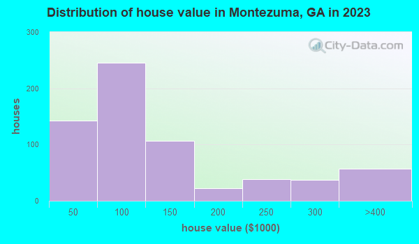 Montezuma, Georgia (GA 31063) profile: population, maps, real estate ...