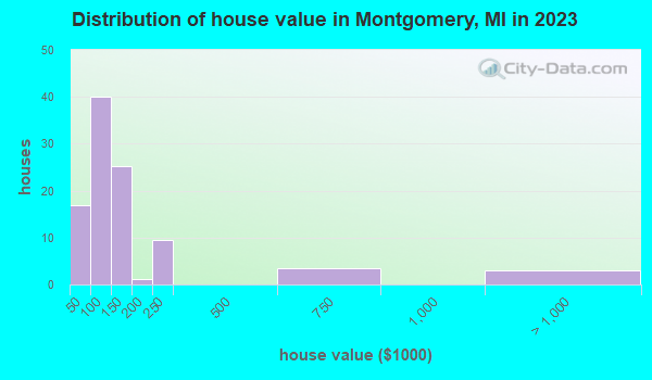 Montgomery, Michigan (MI 49255) profile: population, maps, real estate ...
