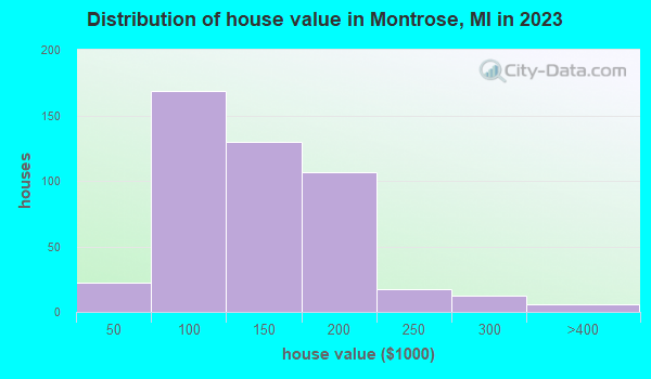 Montrose, Michigan (MI 48457) profile: population, maps, real estate ...