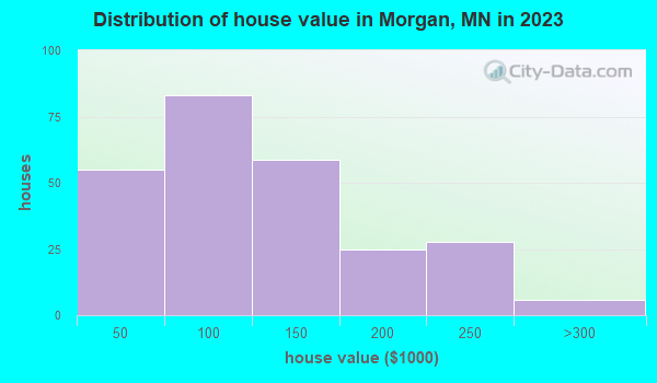 Morgan, Minnesota (MN 56266) profile: population, maps, real estate ...