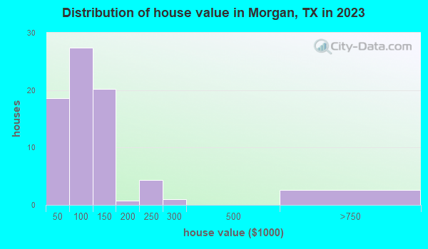Morgan, Texas (TX 76671) profile: population, maps, real estate ...