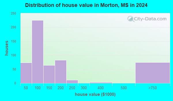 Morton, Mississippi (MS 39117) profile: population, maps, real estate ...