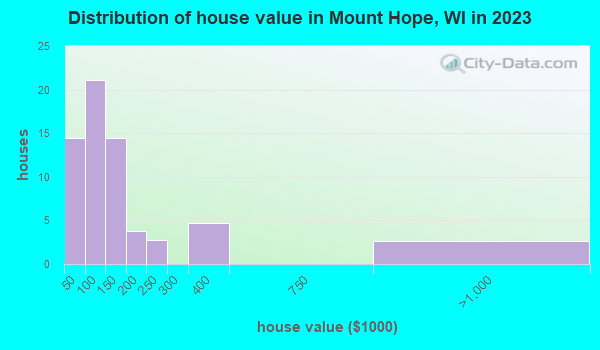 Mount Hope, Wisconsin (WI 53816) profile: population, maps, real estate ...