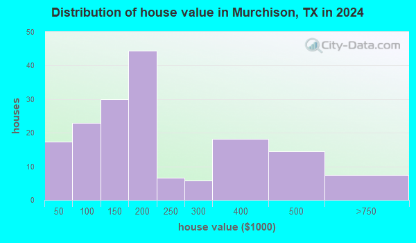 Murchison, Texas (TX 75778) profile: population, maps, real estate ...