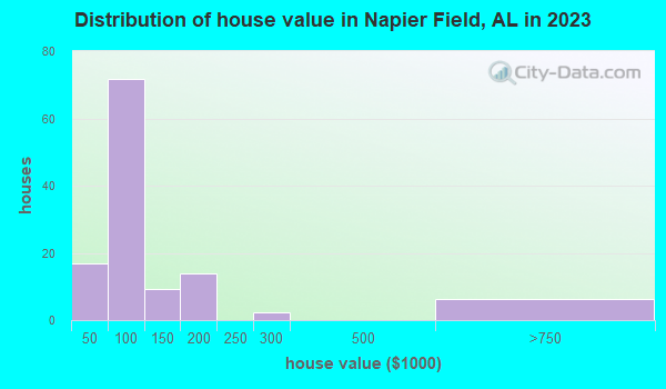 Napier Field, Alabama (AL 36350) profile: population, maps, real estate ...