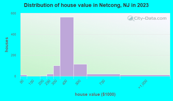 Netcong, New Jersey (NJ 07857) profile: population, maps, real estate ...