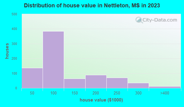 Nettleton, Mississippi (MS 38858, 38862) profile: population, maps ...