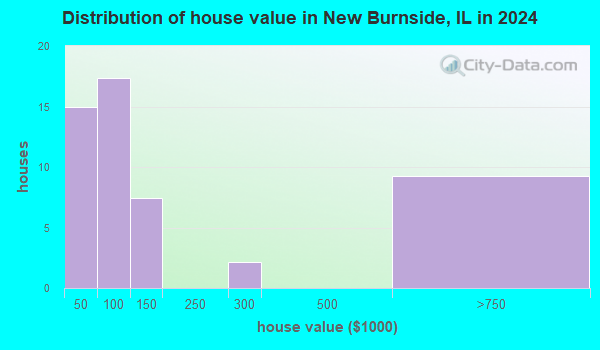 New Burnside, Illinois (IL 62967) profile: population, maps, real ...