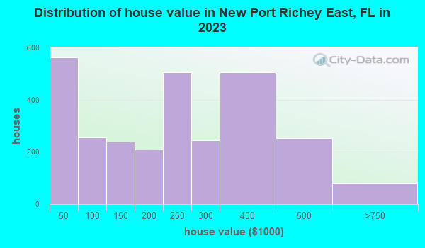 New Port Richey East, Florida (FL 34653) profile: population, maps ...