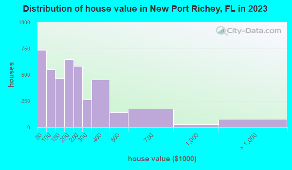 New Port Richey, Florida (FL 34652) profile: population, maps, real ...
