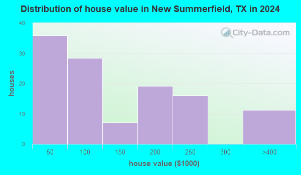 New Summerfield, Texas (TX 75780, 75789) profile: population, maps ...