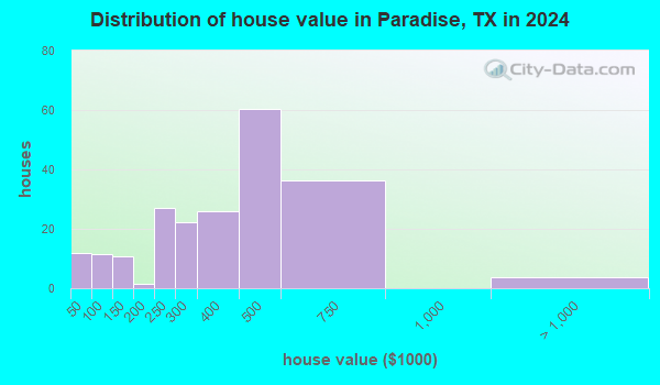 Paradise, Texas (TX 76073) profile: population, maps, real estate ...