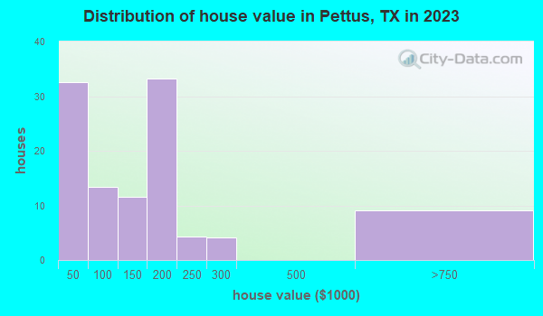 Pettus, Texas (TX 78146, 78162) profile: population, maps, real estate ...