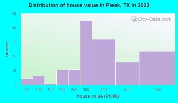 Pleak, Texas (TX 77471) profile: population, maps, real estate ...