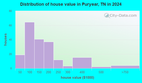 Puryear, Tennessee (TN 38251) profile: population, maps, real estate ...