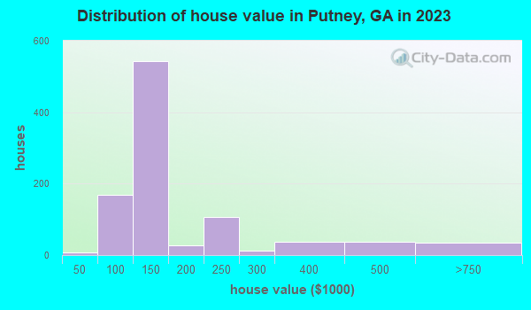 Putney, Georgia (GA 31705) profile: population, maps, real estate ...