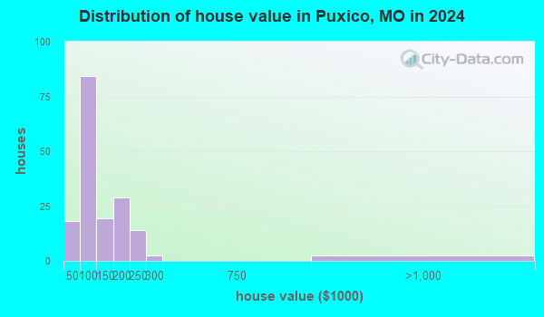 Puxico, Missouri (MO 63960) profile: population, maps, real estate ...