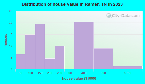 Ramer, Tennessee (TN 38367) profile: population, maps, real estate ...