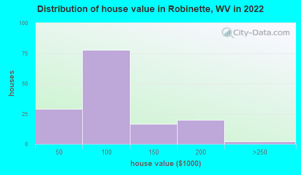 Robinette, West Virginia (WV) profile: population, maps, real estate ...
