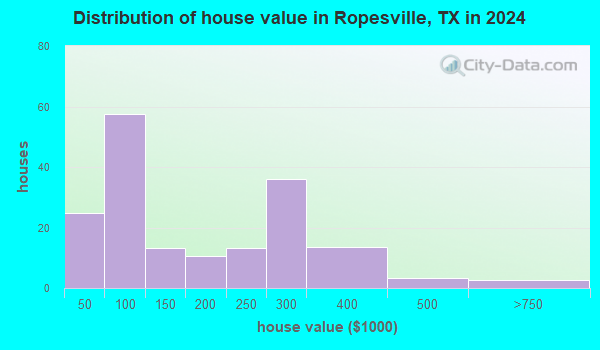 Ropesville, Texas (TX 79358) profile: population, maps, real estate ...