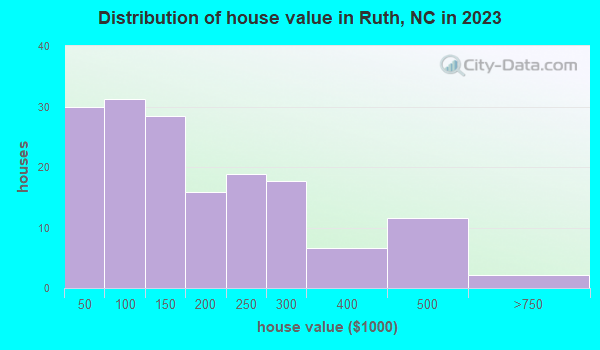 Ruth, North Carolina (NC 28139) profile: population, maps, real estate ...