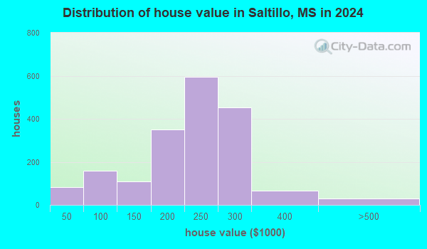 Saltillo, Mississippi (MS 38866) profile: population, maps, real estate ...