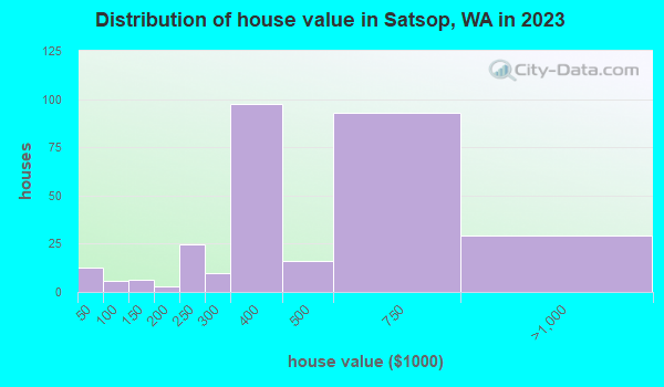 Satsop, Washington (WA 98583) profile: population, maps, real estate ...