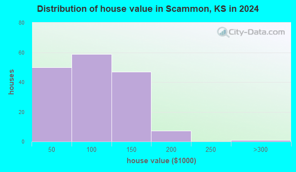 Scammon, Kansas (KS 66773) profile: population, maps, real estate ...