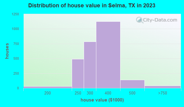 Selma, Texas (TX 78154) profile: population, maps, real estate ...