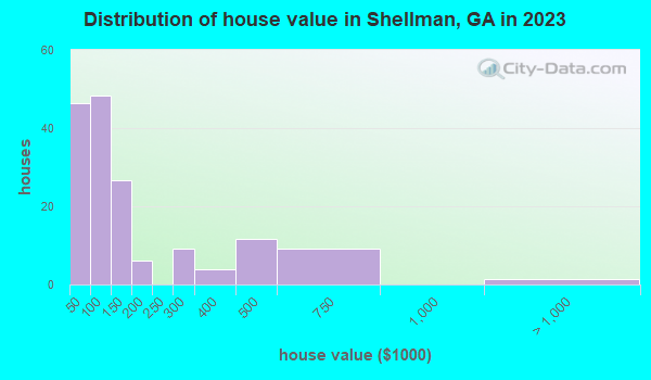 Shellman, Georgia (GA 39886) profile: population, maps, real estate ...