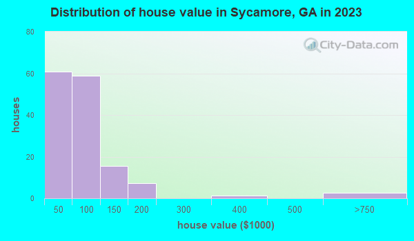 Sycamore, Georgia (GA 31790) profile: population, maps, real estate ...