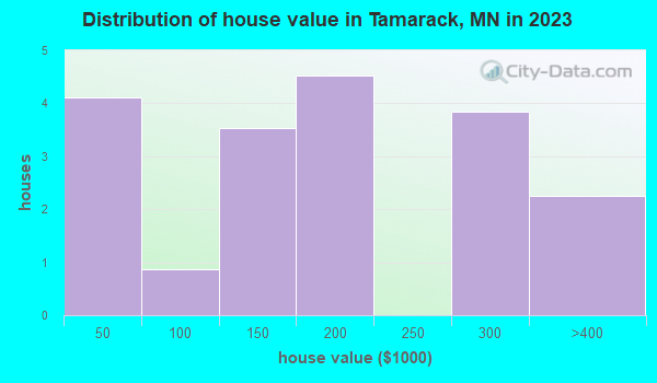 Tamarack, Minnesota (MN 55787) profile: population, maps, real estate ...