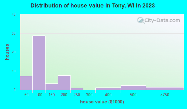 Tony, Wisconsin (WI 54563) profile: population, maps, real estate ...