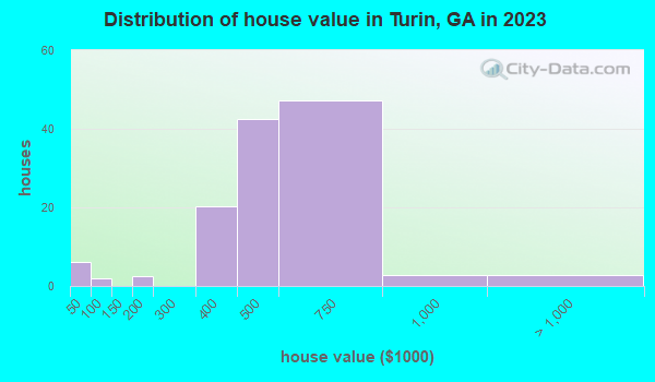 Turin, Georgia (GA 30289) profile: population, maps, real estate ...