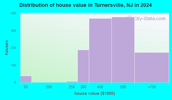 Turnersville, New Jersey (NJ 08080) profile: population, maps, real ...