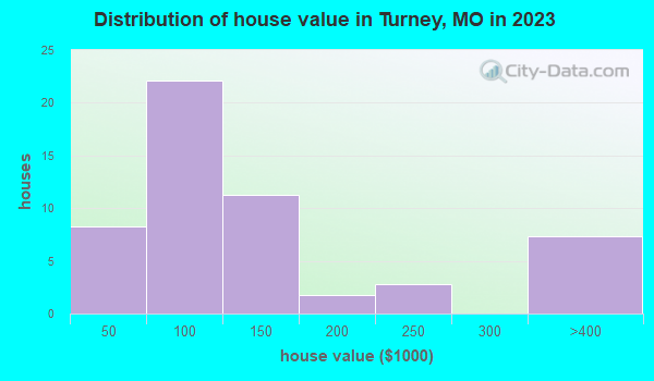 Turney, Missouri (MO 64493) profile: population, maps, real estate ...