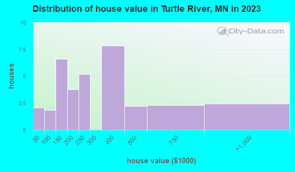 Turtle River, Minnesota (MN 56601) profile: population, maps, real ...