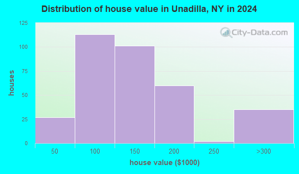 Unadilla, New York (NY 13849) profile: population, maps, real estate ...