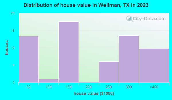 Wellman, Texas (TX 79378) profile: population, maps, real estate ...