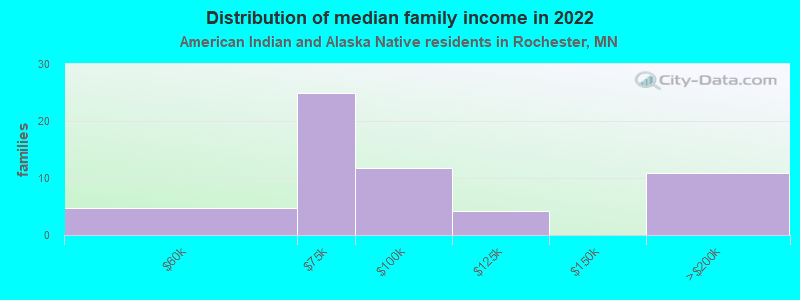 Rochester, Minnesota (MN) income map, earnings map, and wages data