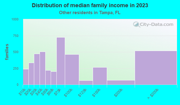 Tampa, Florida (FL) income map, earnings map, and wages data