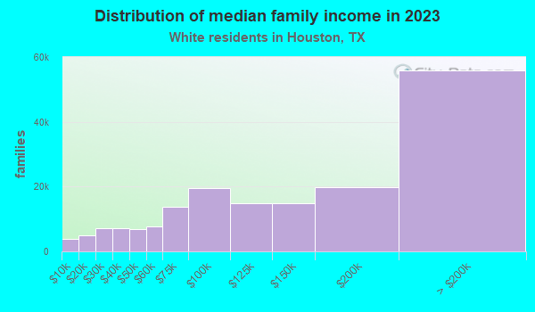 Houston, Texas (TX) income map, earnings map, and wages data