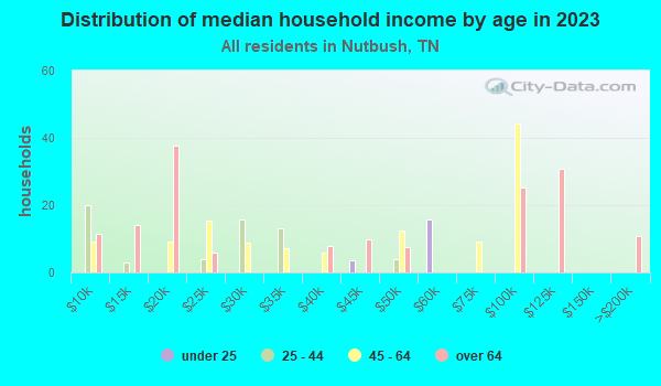 Nutbush, Tennessee (TN) income map, earnings map, and wages data