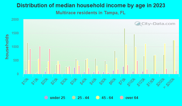 Tampa, Florida (FL) income map, earnings map, and wages data