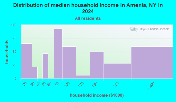 Amenia, New York (NY 12501) profile: population, maps, real estate ...