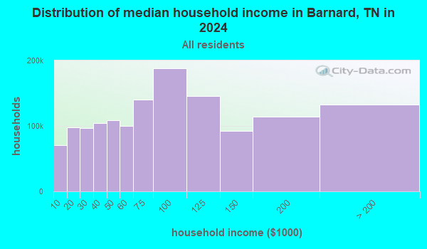 Barnard, Tennessee (TN 37880) profile: population, maps, real estate ...