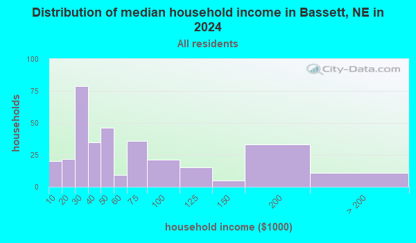 Bassett, Nebraska (NE 68714) profile: population, maps, real estate ...