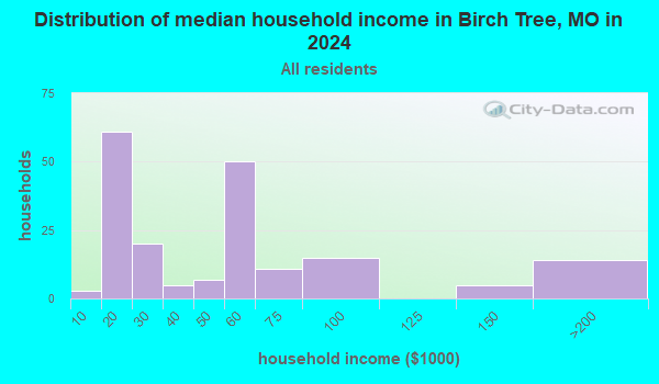 Birch Tree, Missouri (MO 65438) profile: population, maps, real estate ...