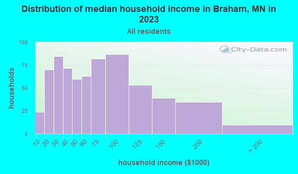 Braham, Minnesota (MN 55006) profile: population, maps, real estate ...